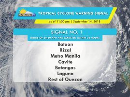 Tropical Cyclone Warning Signal – PanahonTV